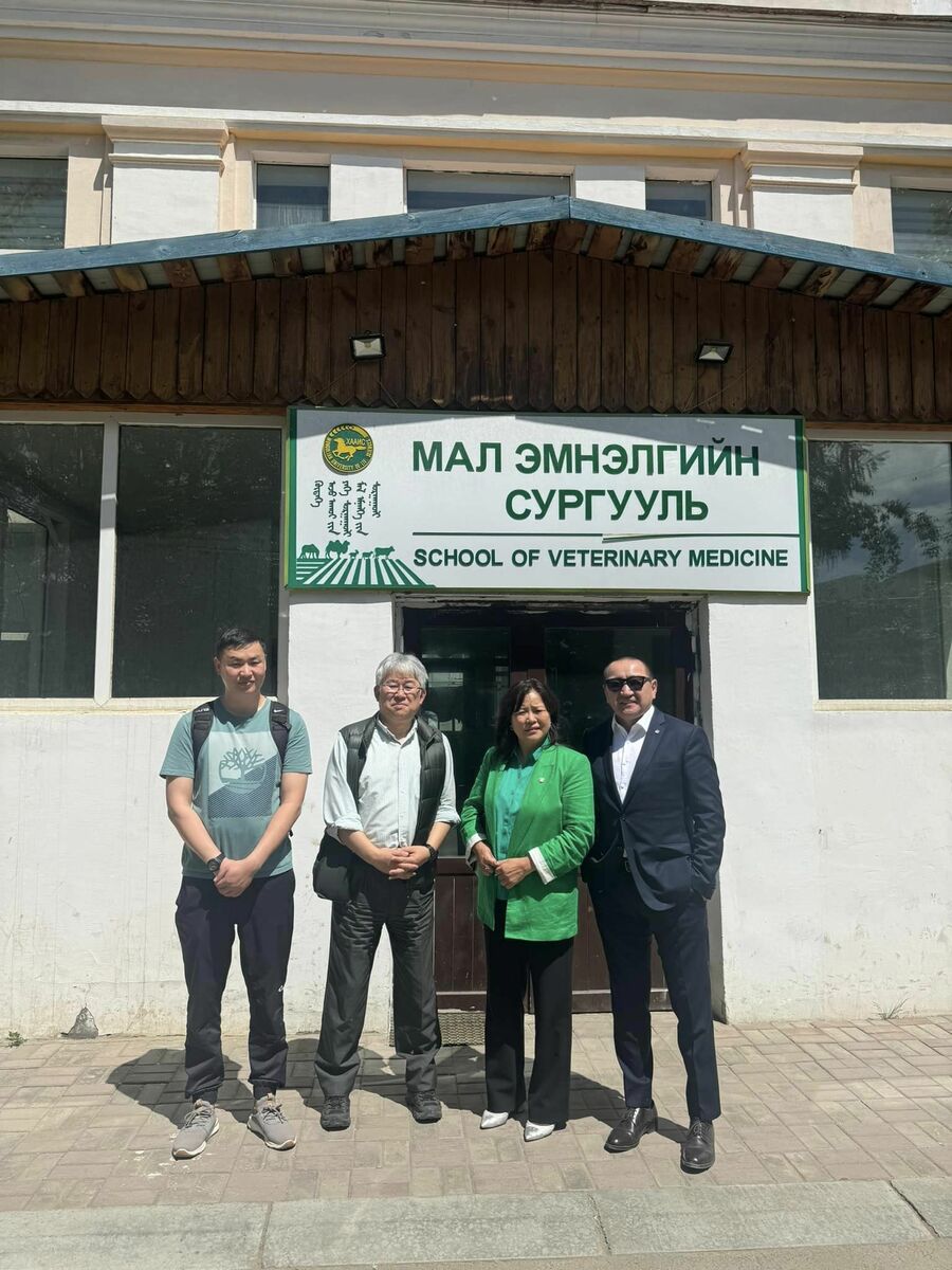 102 малын их эмч улсын шалгалтаа амжилттай өглөө – Seen.MN